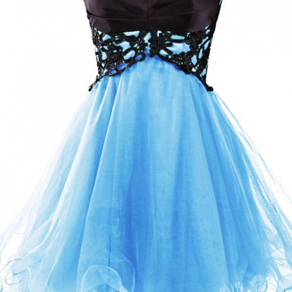 Blue Organza Homecoming Dress,applique Homecoming Dresses on Luulla